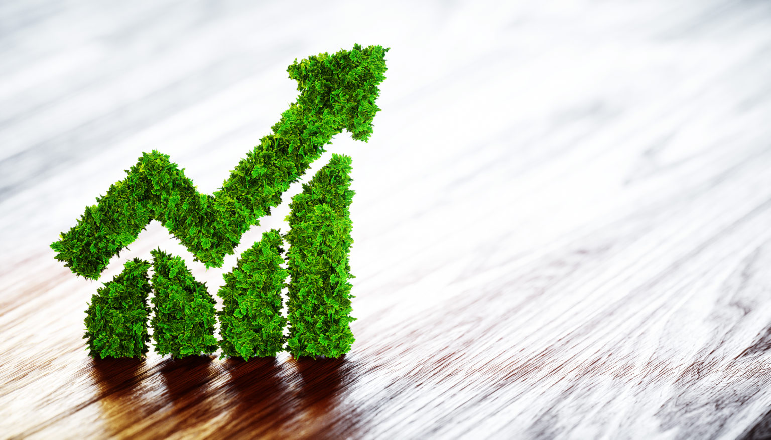 Investment Solutions - Monaco Asset Management